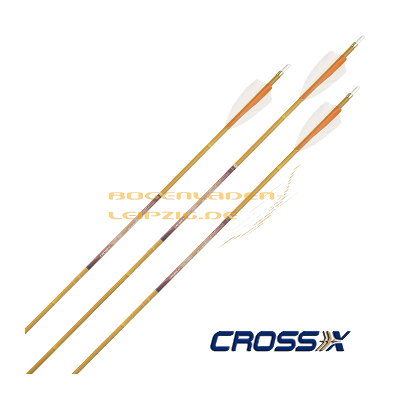 CrossX - Pfeil Helios (ohne Spitze) 6 Stück 500, 61,80