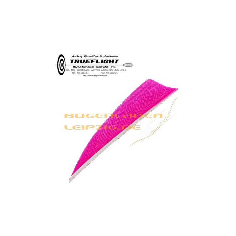 Trueflight Feathers - 3" Shield RW sky blue, 0,50